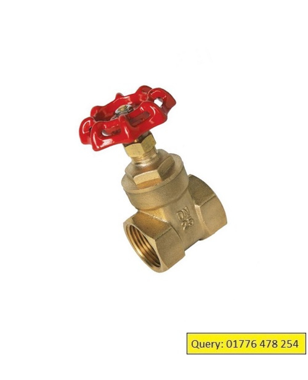 Brass Gate Valve 1/2"