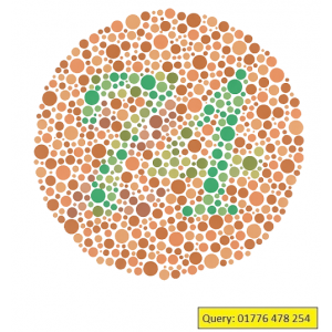 Ishihara Eye Chart
