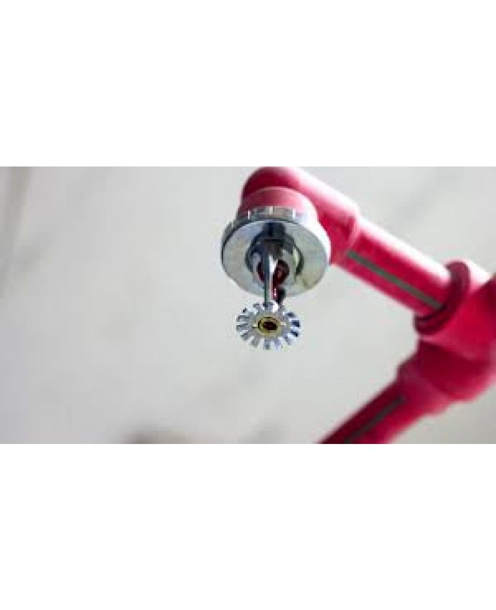 Fire Sprinkler Head